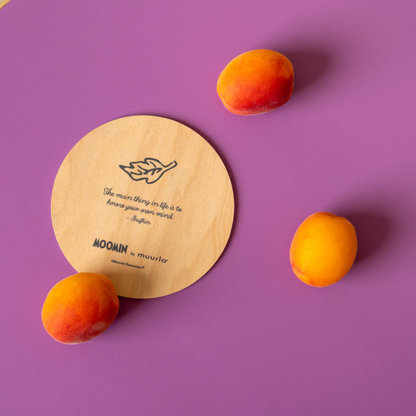 Moomin Coaster Snufkin 10 cm - The Official Moomin Shop - United Kingdom