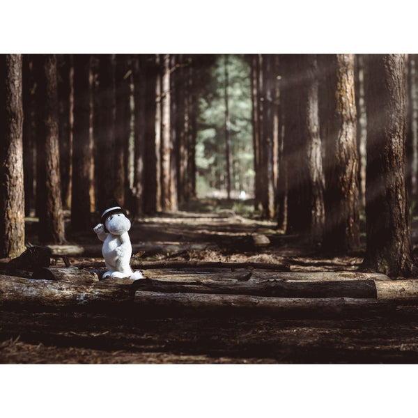 Moominpappa - Moomin by Charlie Bears - The Official Moomin Shop ...