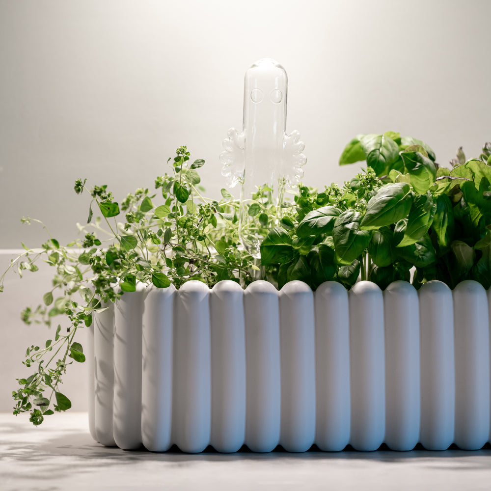 Hattifattener Watering Bulb - The Official Moomin Shop - United Kingdom